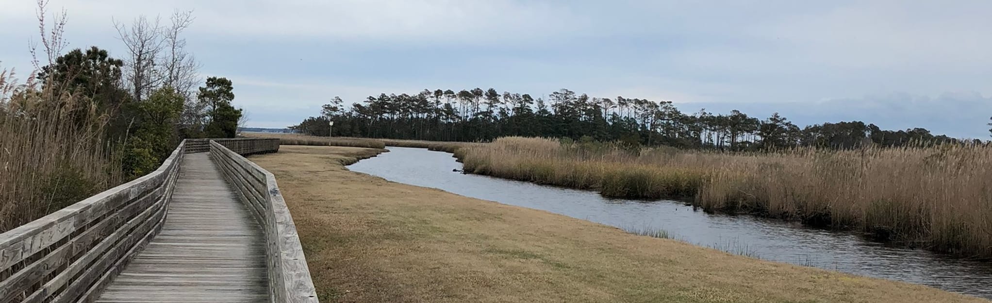 Currituck County Rural Center Boardwalk: 25 Fotos - North Carolina ...
