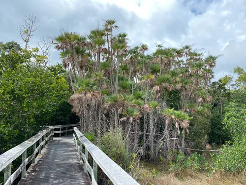 10 Best Hikes and Trails in Everglades National Park | AllTrails