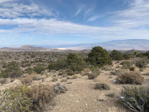 Best Bird Watching Trails in Indian Springs | AllTrails