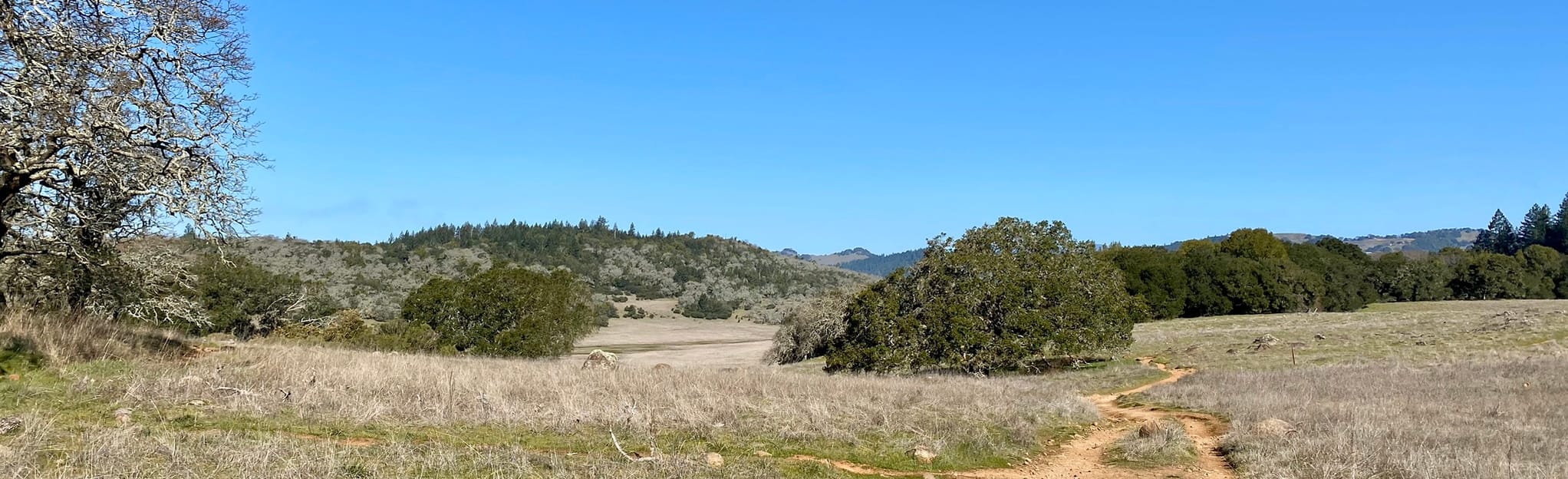 Canyon, Lake, Rough Go, Orchard Loop and Cobblestone Trail Loop ...