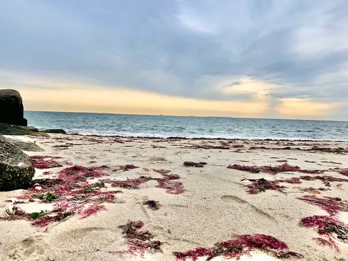 Best Hikes and Trails in Waterford Beach Park | AllTrails