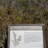 Pygmy Forest Discovery Trail, California - 101 Reviews, Map | AllTrails