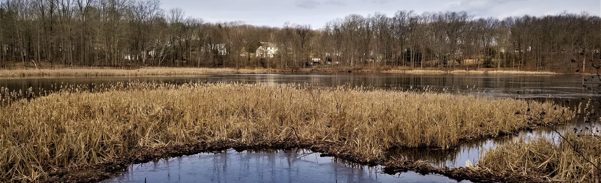 New England Trail: Mount Higby Parking Area to Giuffrida Park ...