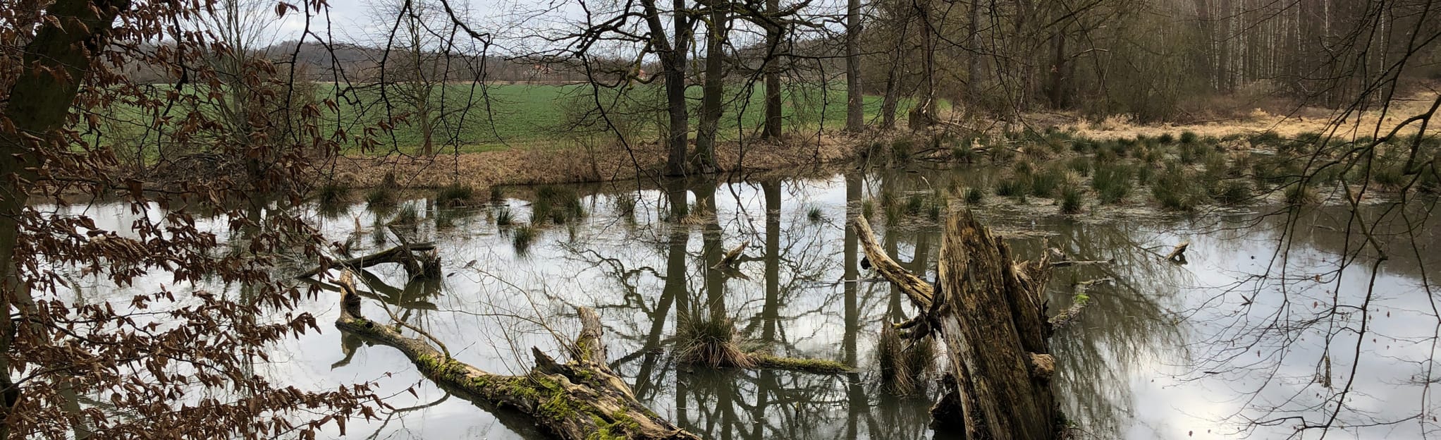 Muldental-Wanderweg Zwickauer Mulde Etappe 6: Colditz - Grimma, Saxony ...
