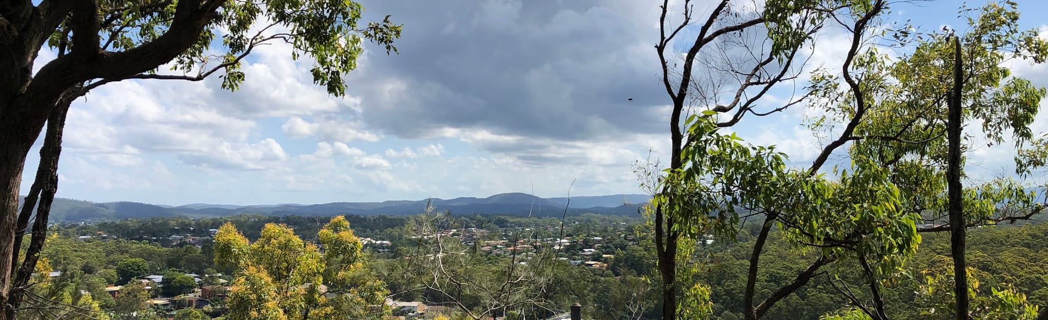 Milne Hill Trail: 51 Reviews, Map - Queensland, Australia | AllTrails