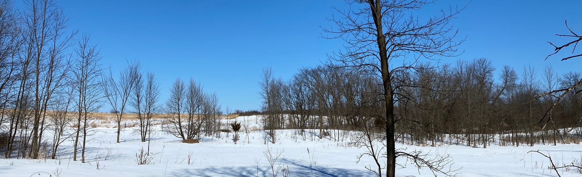 Eastman Nature Center and Elm Creek Park Reserve Loop: 308 Reviews, Map ...