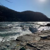 Virginius Island Trail, West Virginia - 203 Reviews, Map | AllTrails