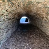 Virginius Island Trail, West Virginia - 203 Reviews, Map | AllTrails