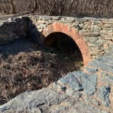 Virginius Island Trail, West Virginia - 203 Reviews, Map | AllTrails