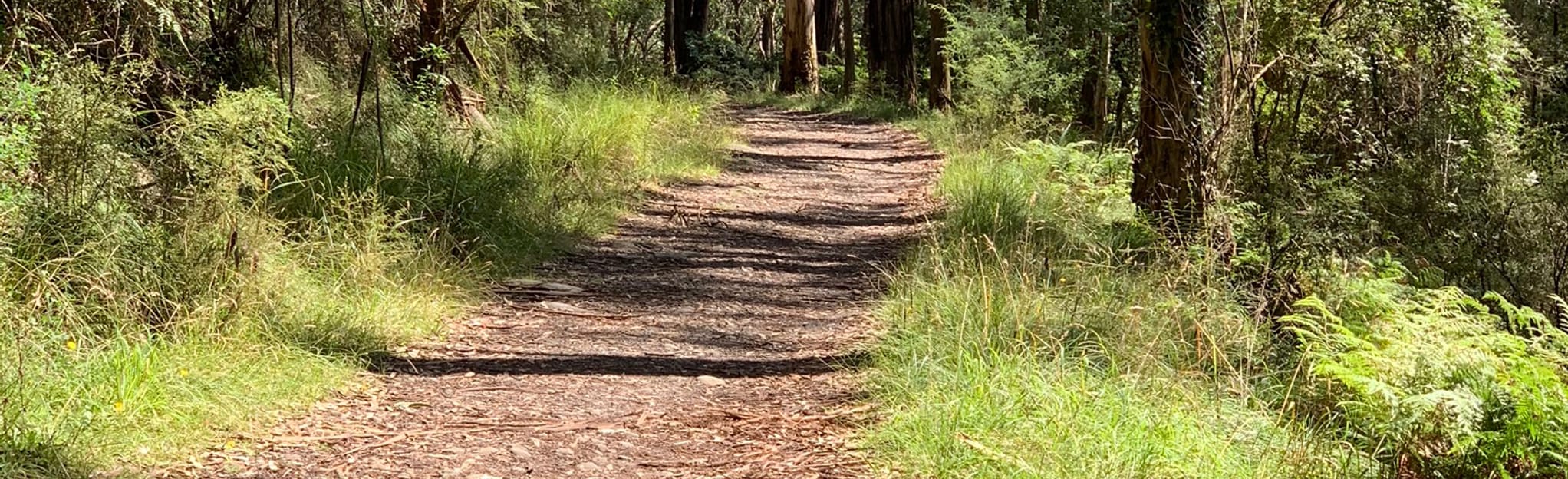 AllTrails | Sassafras Creek to One Tree Hill Loop: 26 Reviews, Map ...