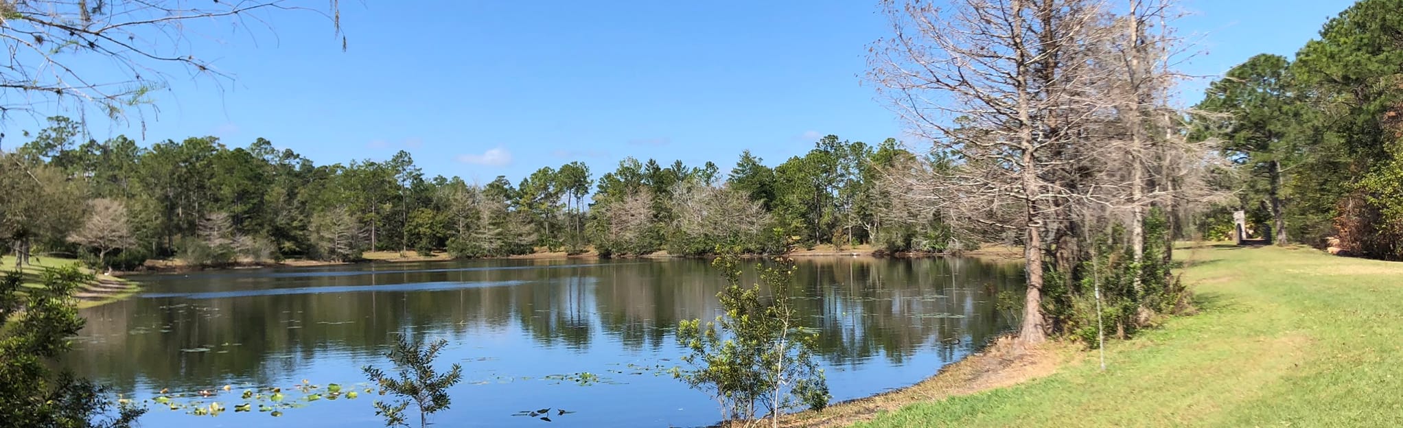 Lake Claire Loop, Florida - 51 Reviews, Map | AllTrails