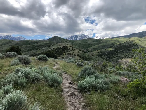 10 Best Trails and Hikes in Herriman | AllTrails