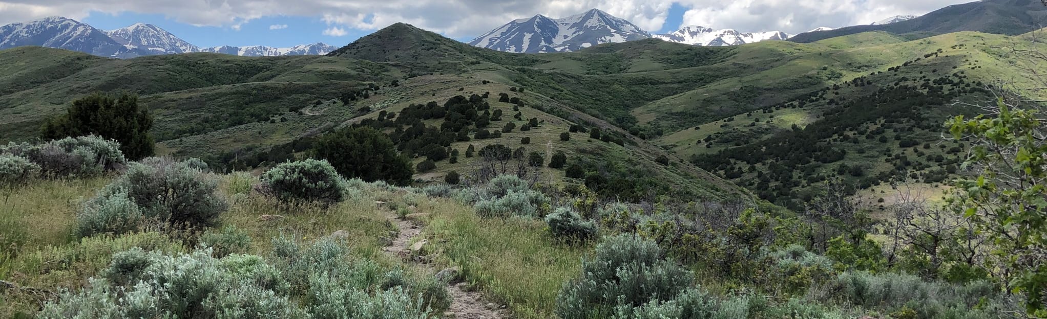 Yellow Fork Loop Trail and Water Fork Road Loop: 343 Reviews, Map ...