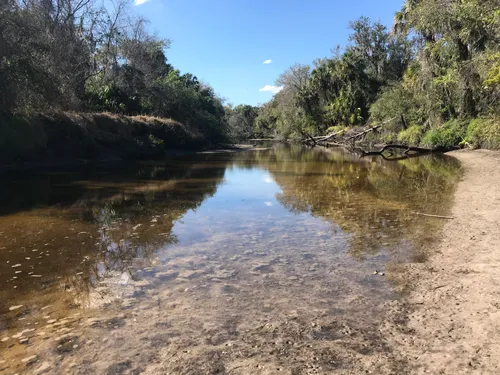 Best Hikes and Trails in Rye Preserve | AllTrails