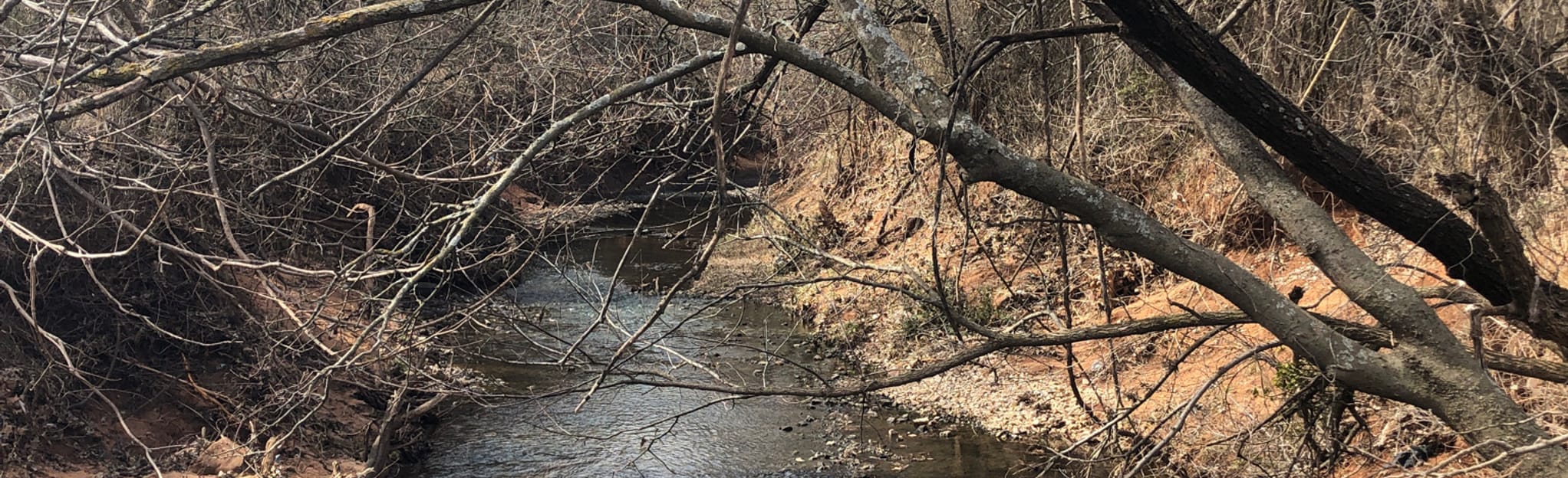 SCIP Recreational Trail, Oklahoma - 308 Reviews, Map | AllTrails