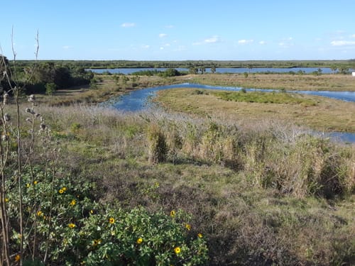 2023 Best trails in Cockroach Bay Nature Preserve | AllTrails
