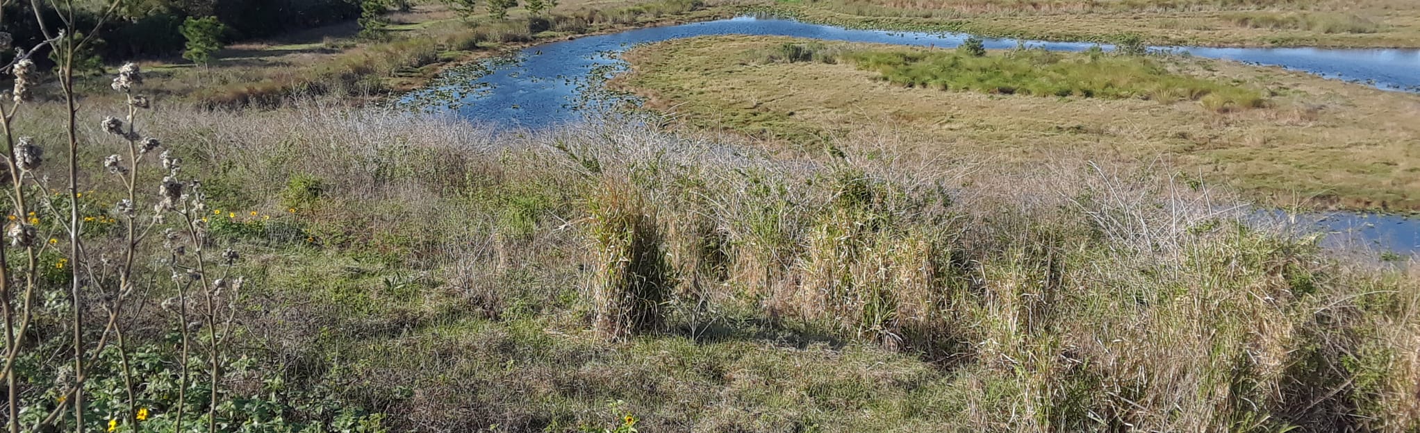 Red and Blue Trails, Florida - 111 Reviews, Map | AllTrails
