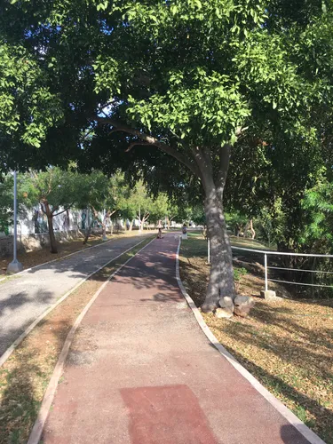 10 Best Trails and Hikes in Mérida | AllTrails