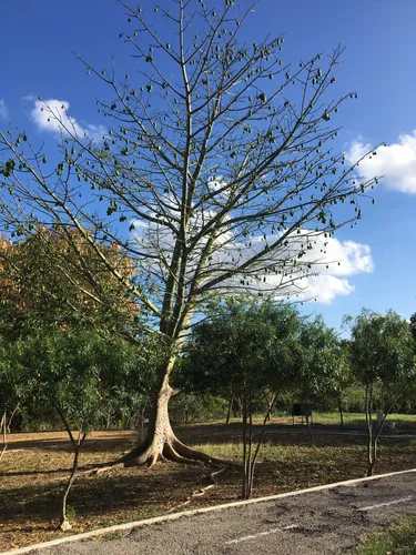 10 Best Trails and Hikes in Mérida | AllTrails