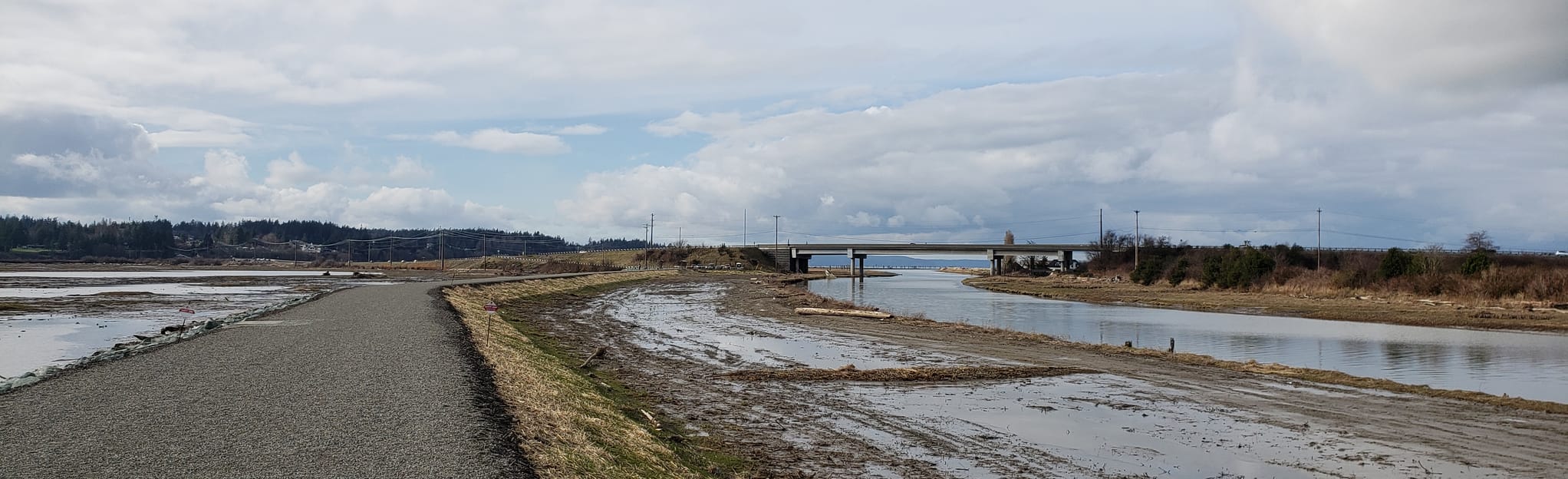 Leque Island Trail - Washington | AllTrails