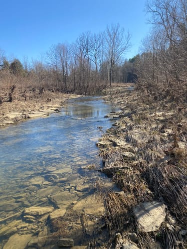 Best Hikes and Trails in Kleber Wildlife Management Area | AllTrails