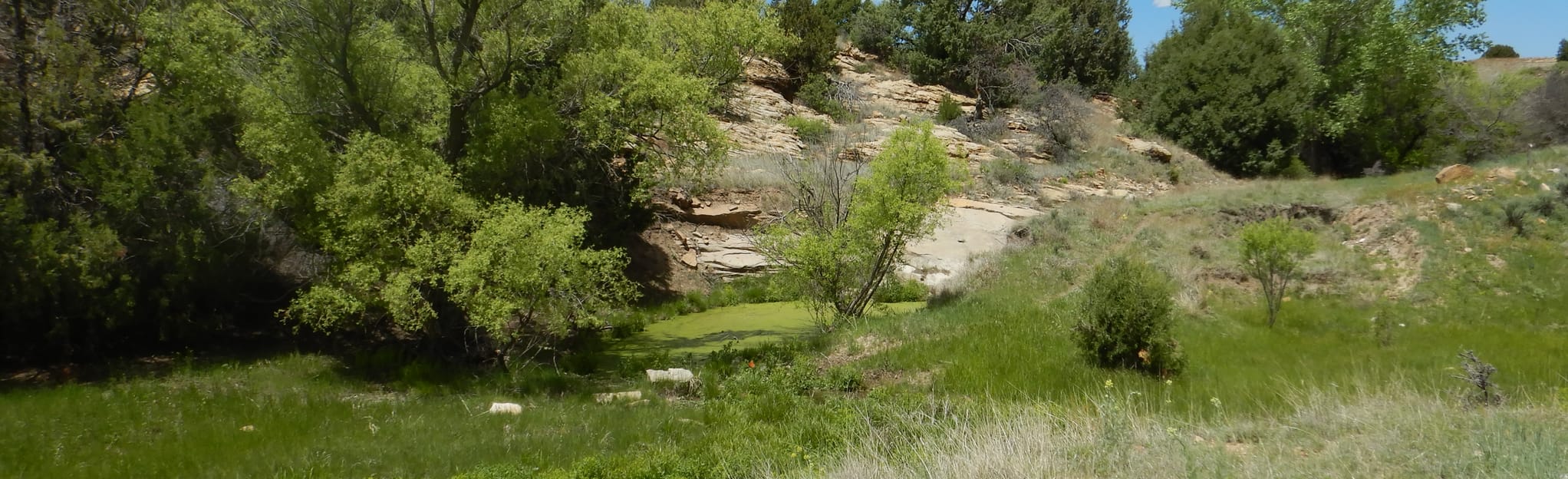 Arch Rock Trail, Homestead Trail, and Outlaw Trail Loop, Colorado - 20 ...