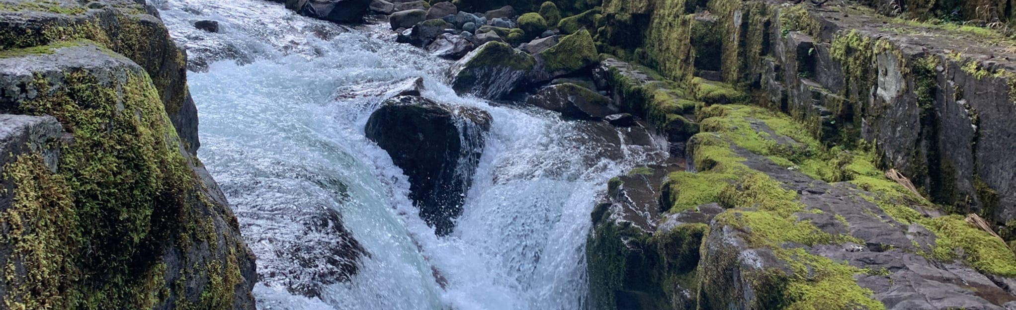 Crawfish Lake and Knott Trail Loop: 239 fotos - Oregon | AllTrails