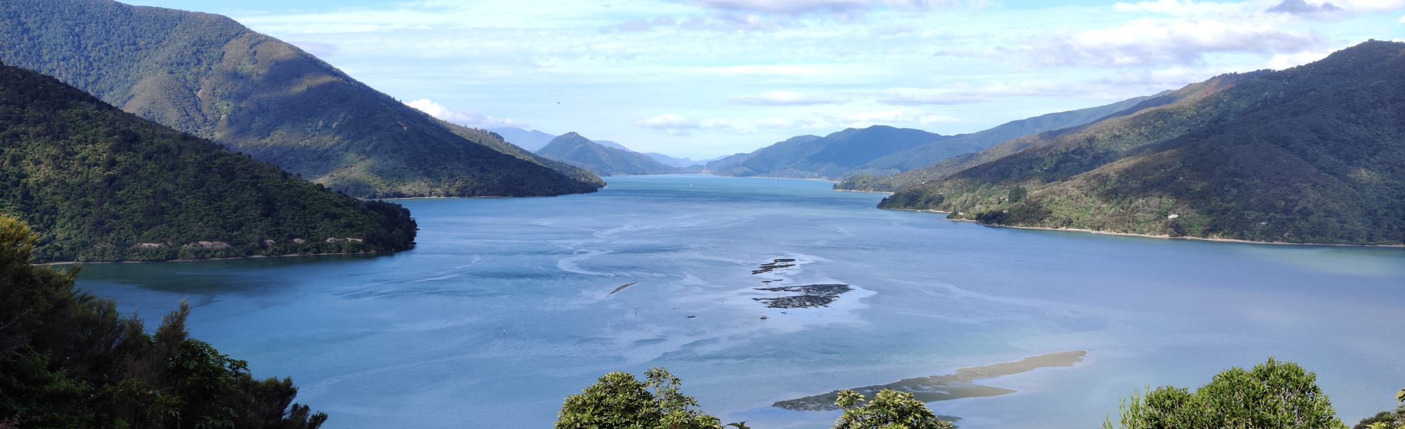 Cullen Point Coastal Track, Marlborough, New Zealand - 47 Reviews, Map ...