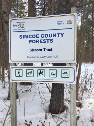 Best Hikes and Trails in Simcoe County Forests | AllTrails