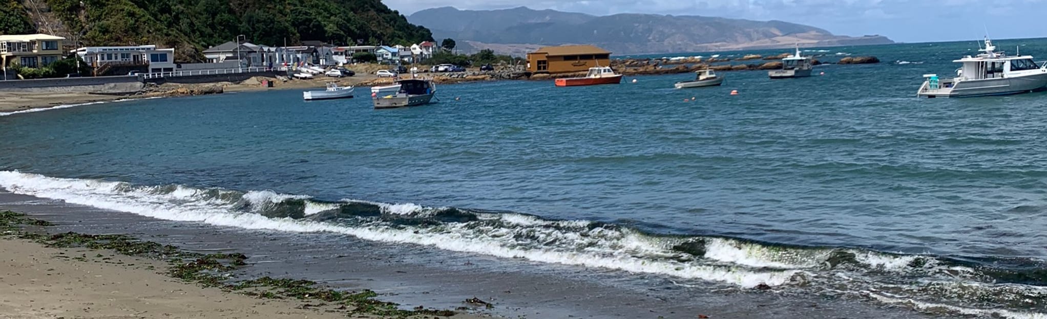 Southern Walkway: 75 Reviews, Map - Wellington, New Zealand | AllTrails