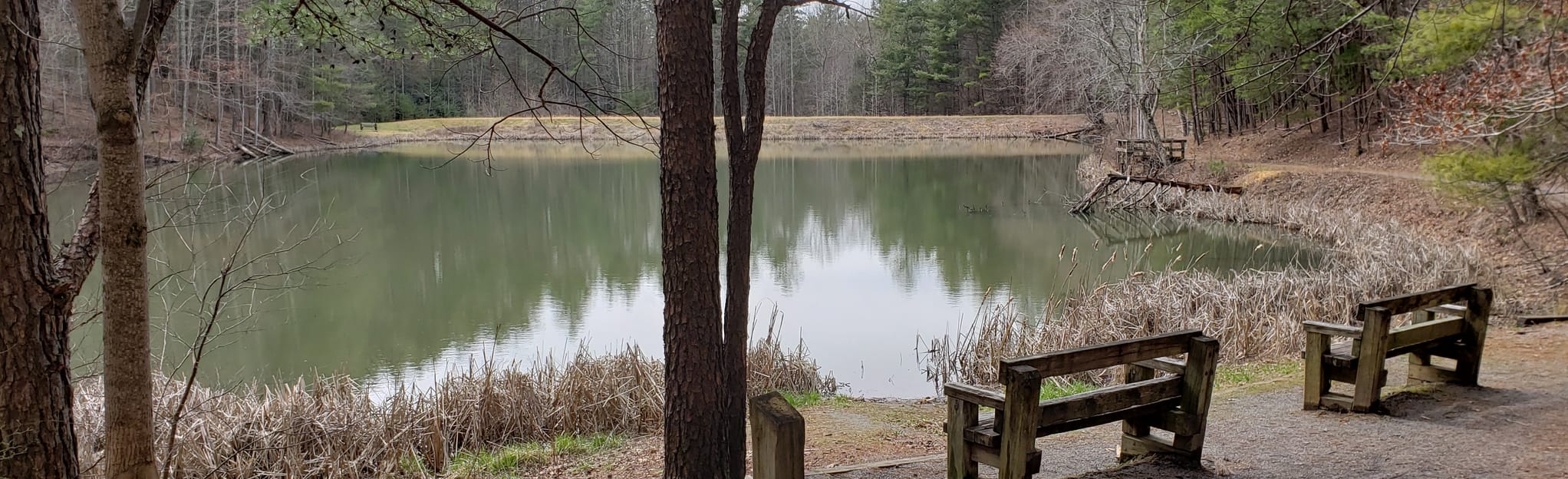 Allen Branch Pond Loop Trail, Tennessee - 13 Reviews, Map | AllTrails