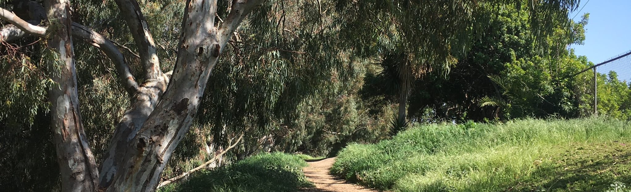 Gum Grove Park - California | AllTrails