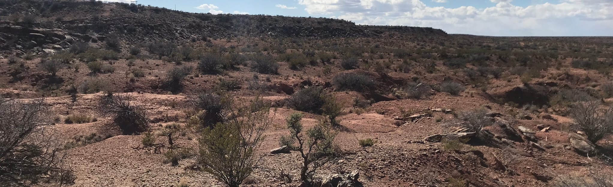 Haystack Mountain OHV Area Loop, New Mexico - 22 Reviews, Map | AllTrails