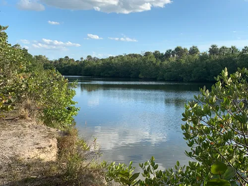 Best Hikes and Trails in Lovers Key State Park | AllTrails