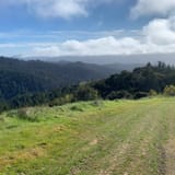 Hickory Oak Ridge Trail Loop, California - 232 Reviews, Map | AllTrails