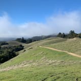 Hickory Oak Ridge Trail Loop, California - 232 Reviews, Map | AllTrails