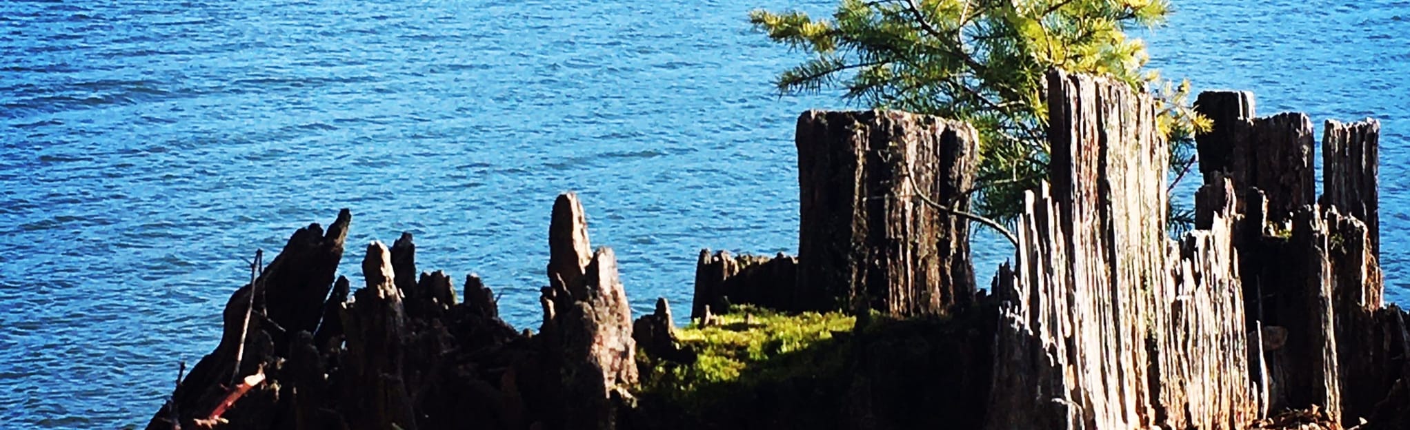 North Foster Lake Trail: 32 Reviews, Map - Oregon | AllTrails