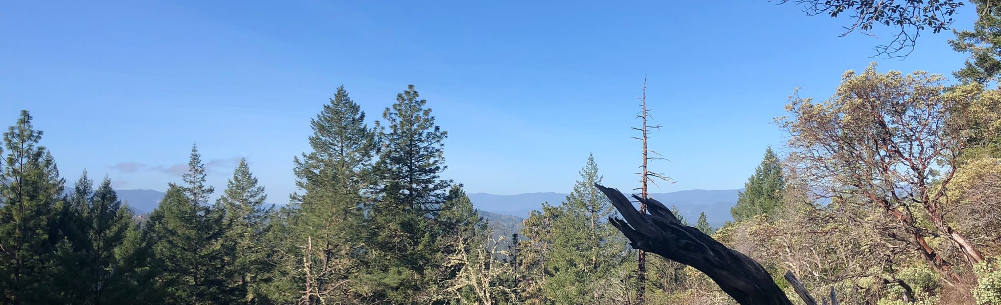 Cathedral Hills Loop, Oregon - 116 Reviews, Map | AllTrails