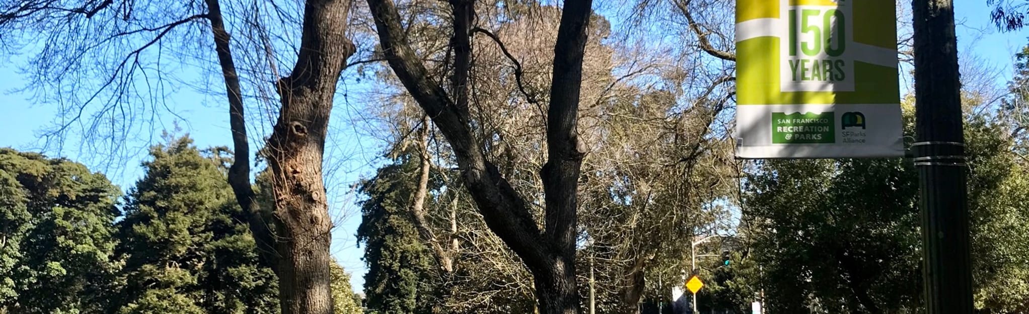 Panhandle Loop, California - 260 Reviews, Map | AllTrails