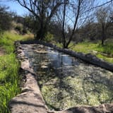 Apache Springs via Bentley Mine Road, Arizona - 23 Reviews, Map | AllTrails