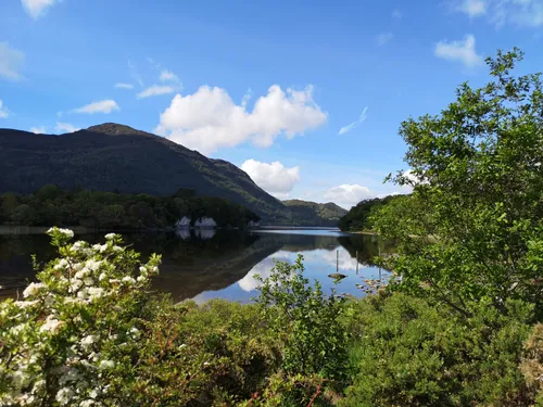 10 Best Long Trails in Killarney National Park | AllTrails