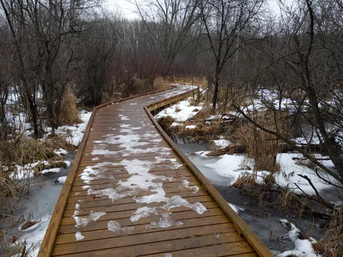 Best Hikes and Trails in Jackson | AllTrails