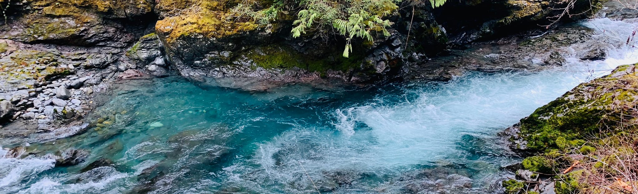 AllTrails | Ranger Hole Trail: 439 Reviews, Map - Washington