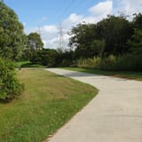 Bulimba Creek Loop, Queensland, Australia - 156 Reviews, Map | AllTrails
