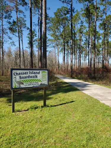 Best Forest Trails in Saint George | AllTrails