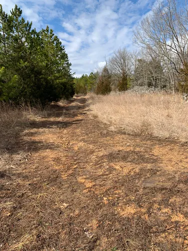 Best Hikes and Trails in Fort Leonard Wood | AllTrails