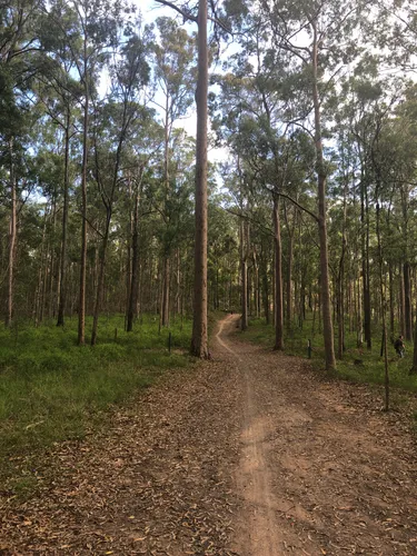 10 Best Hikes and Trails in Daisy Hill Conservation Park | AllTrails