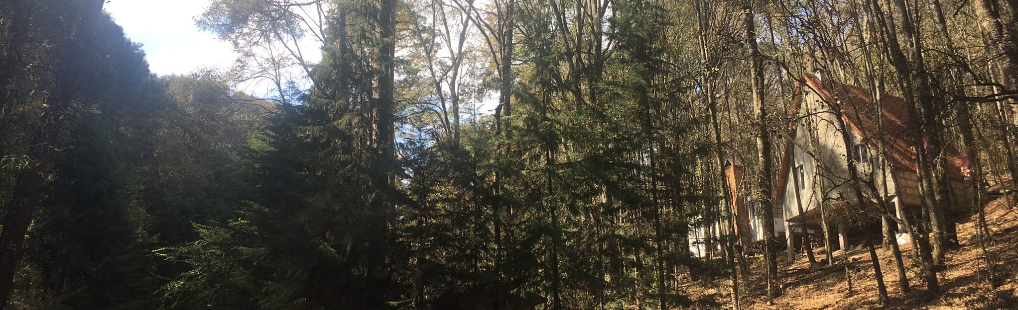 Parque Laguna de Servín, Michoacán, Mexico - 4 Reviews, Map | AllTrails