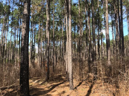 Best Hikes and Trails in Double Lake Recreation Area | AllTrails