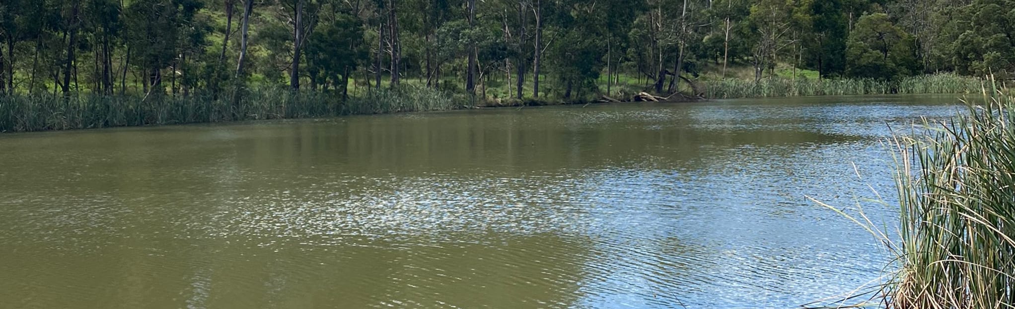 Rowville to Belgrave via Lysterfield Park, Victoria, Australia - 10 ...